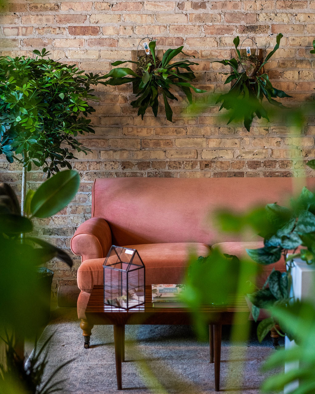 A Reintroduction to Rooted Living. Here's What We're All About ...