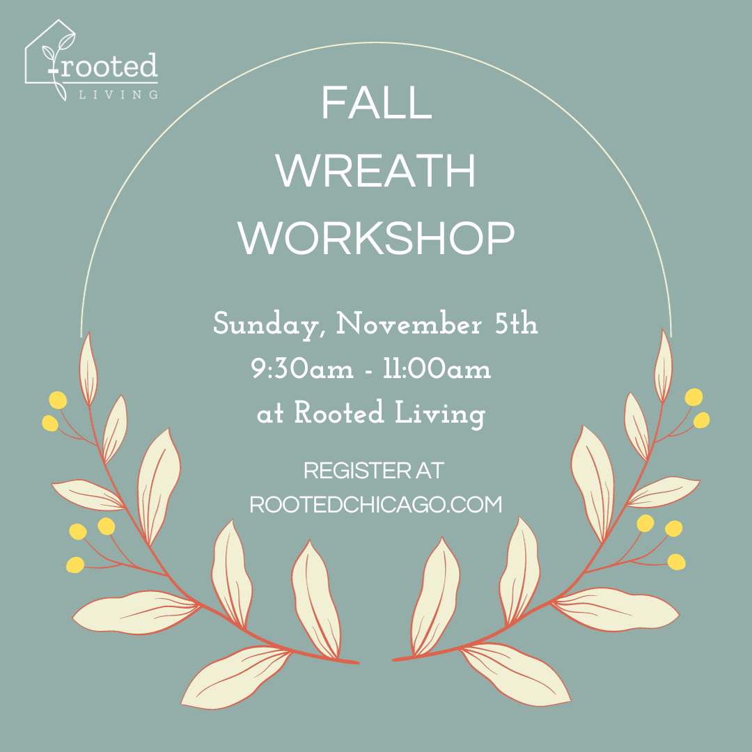 Modern Fall Wreath Workshop || Sunday, November 5th – Rooted Living Chicago