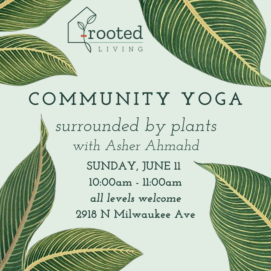 Community Yoga (with plants!) – Rooted Living Chicago