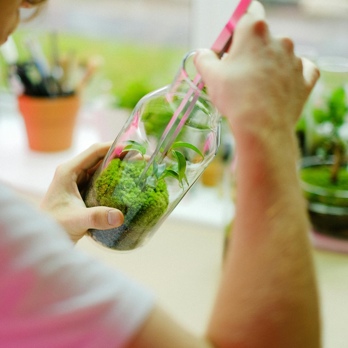 Irish Moss Terrarium Workshop || Sunday, March 17 – Rooted Living Chicago